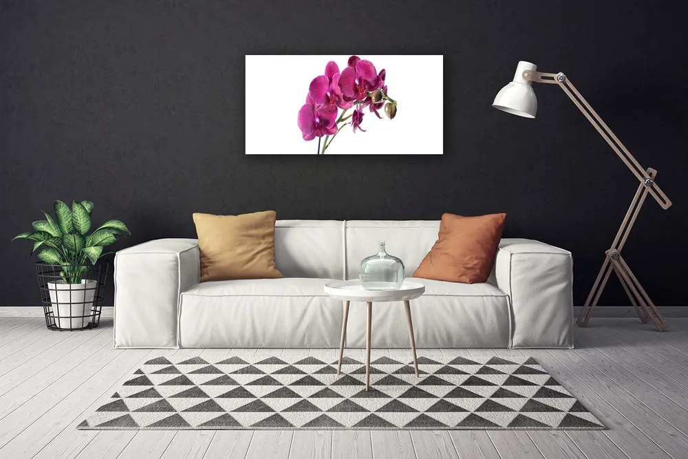 Obraz na plátně Orchidej Květiny Příroda 140x70 cm