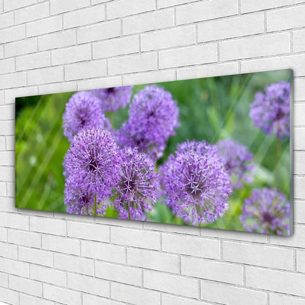 Plexisklo-obraz Fialové Květiny Louka 125x50 cm