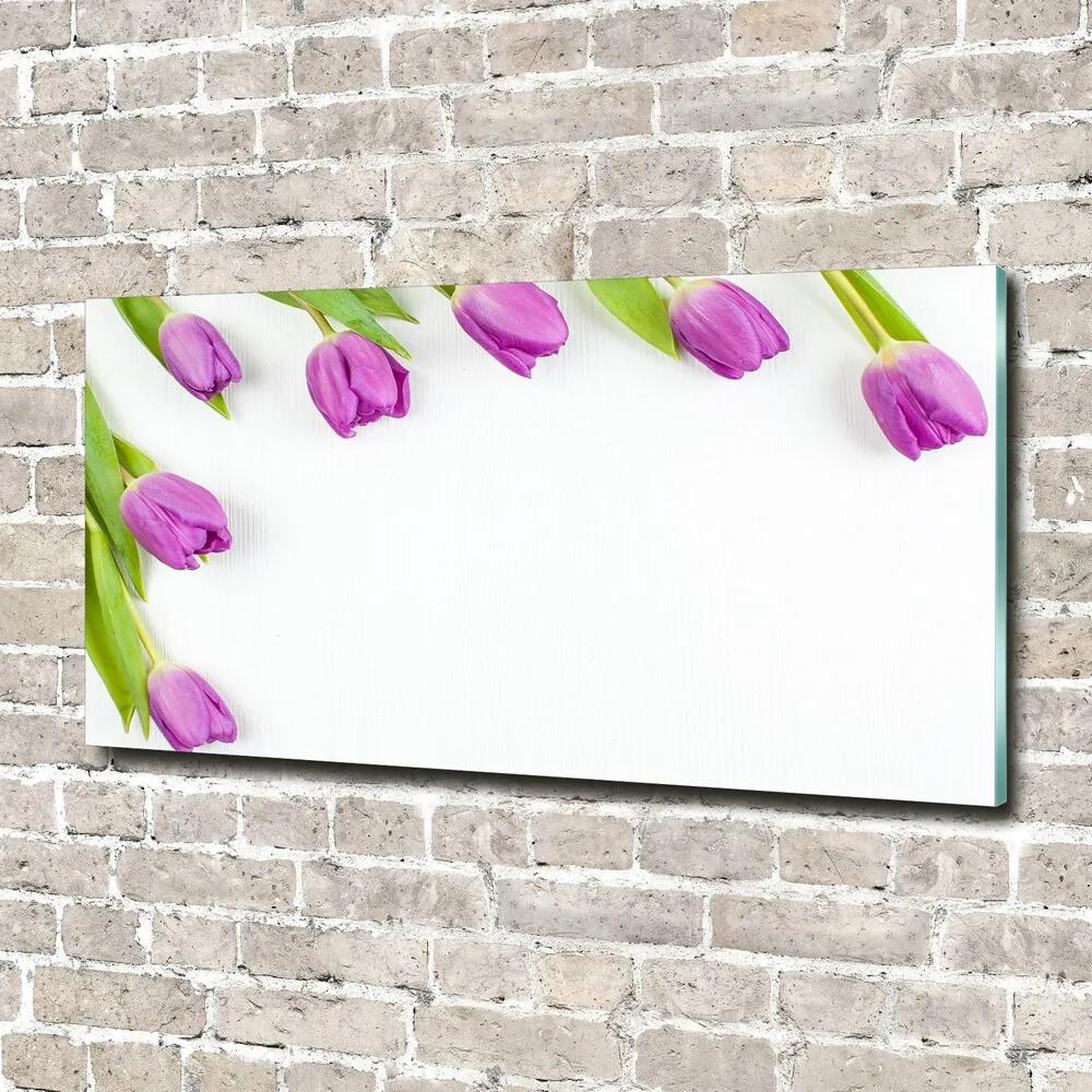 Wallmuralia Moderní skleněný obraz z fotografie Fialové tulipány 140x70 cm