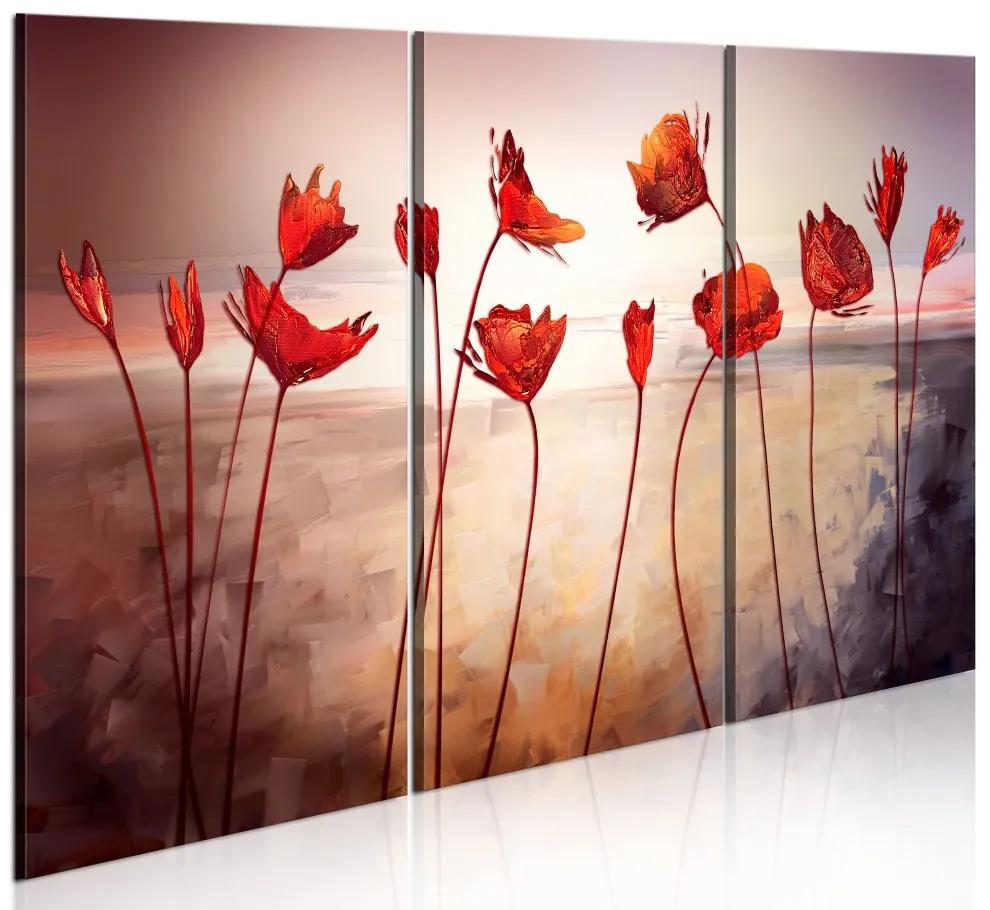 Obraz na plátně Bimago - Bright red poppies 60x40 cm