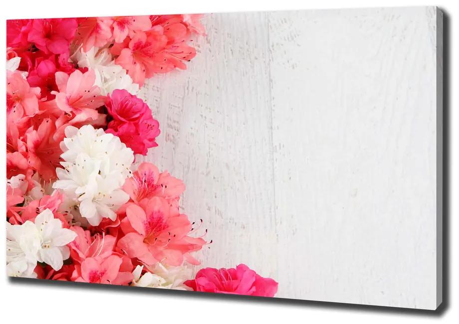 Wallmuralia Foto-obraz canvas do obýváku Květiny 100x70 cm