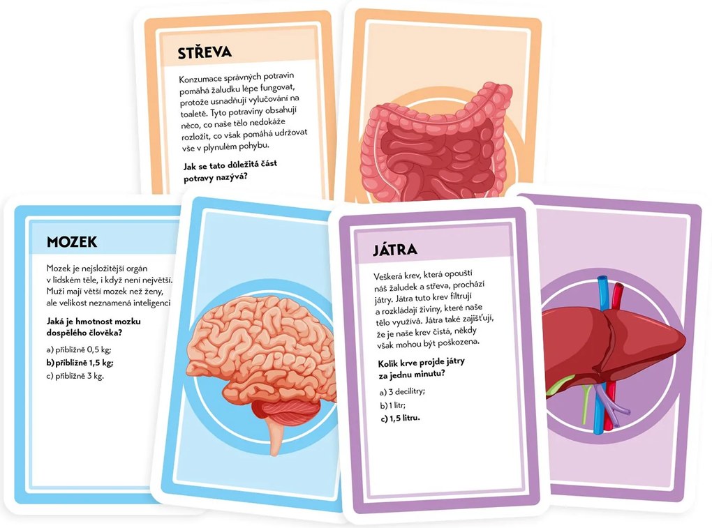 Tactic Pojďme se učit: Naše úžasné tělo