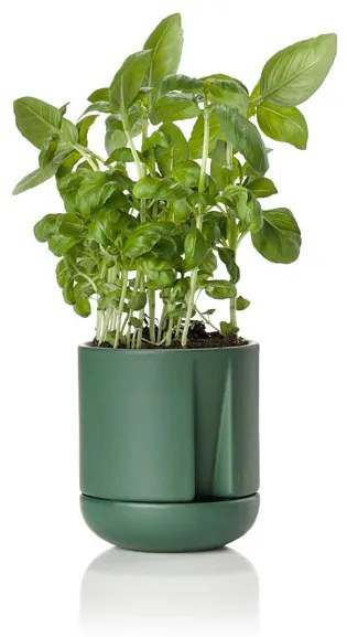 Zone Denmark Samozavlažovací květináč na bylinky Herb &amp; Sprout Jungle Green 10 x 11,6 cm