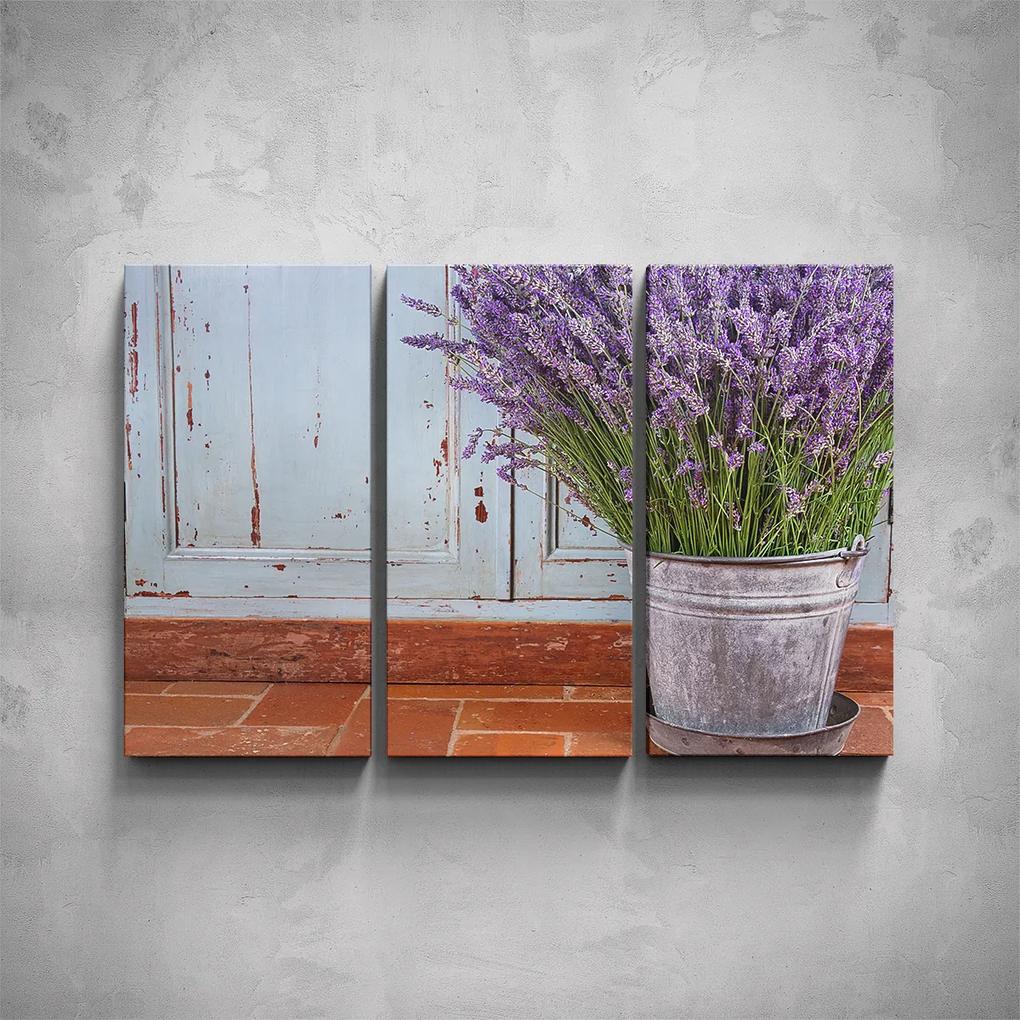 3-dílný obraz - Levandule v květináči - PopyDesign