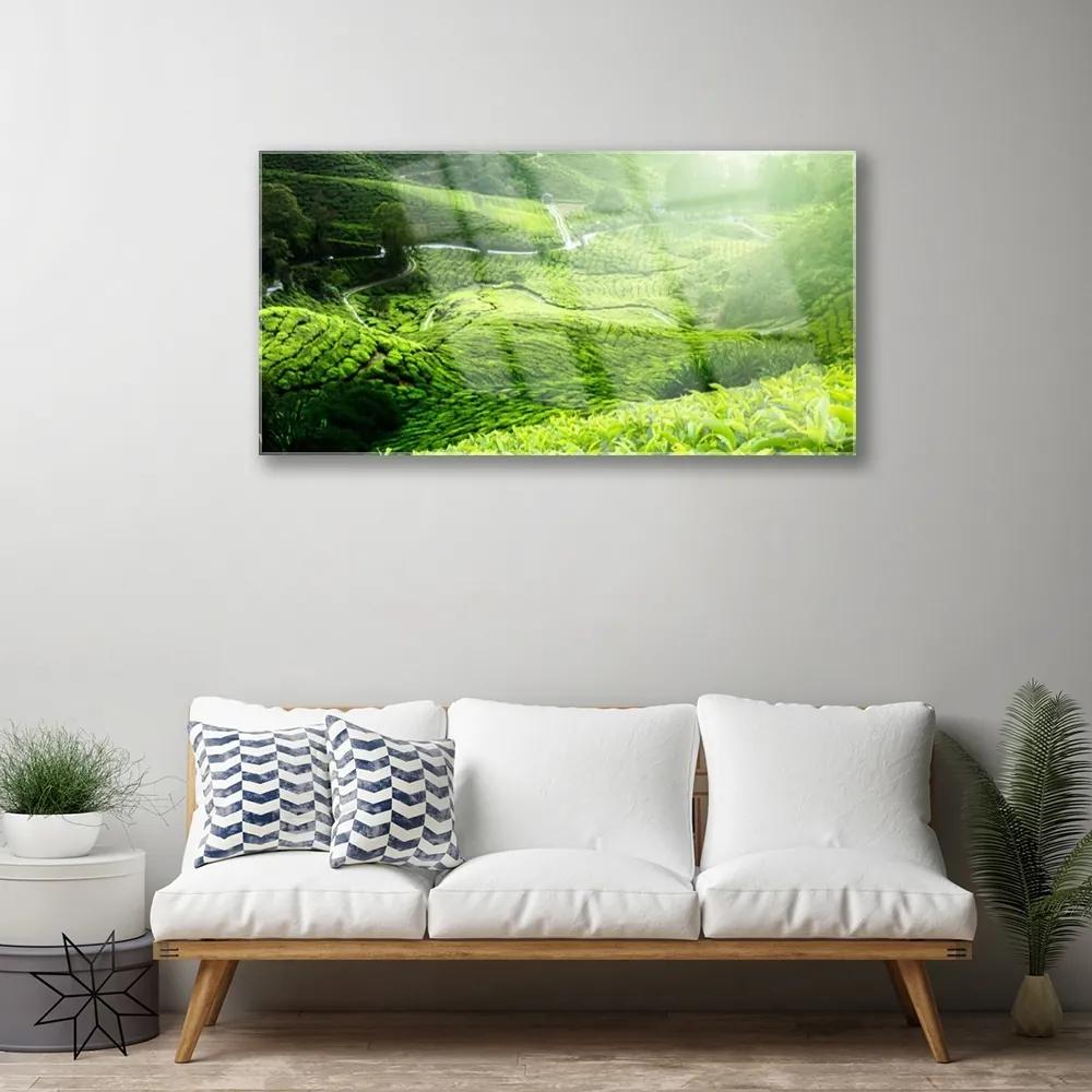 Obraz na skle Louka Příroda 100x50 cm