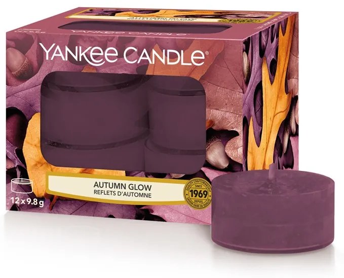 YANKEE CANDLE AUTUMN GLOW 12 x 9,8 g