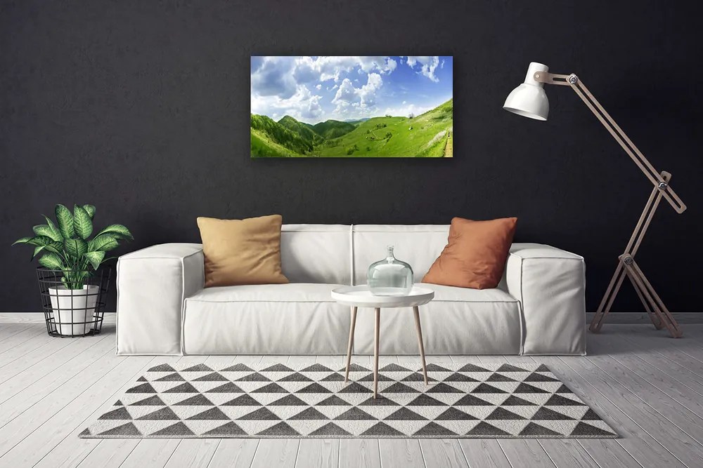 Obraz na plátně Hora Louka Příroda 125x50 cm