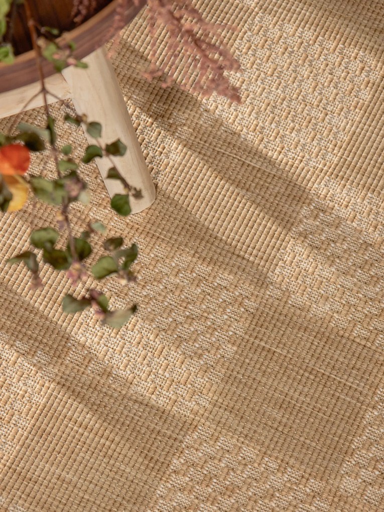 Ted Baker, Kusový koberec Ted Baker Haringey 106386 Natural White, 200x300, béžová, chodba / předsíň