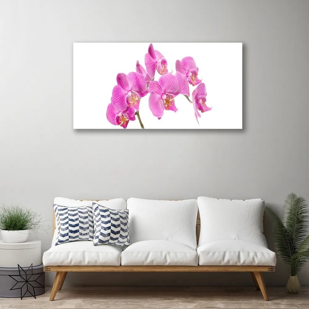 Obraz na skle Orchidej Květiny Příroda 100x50 cm