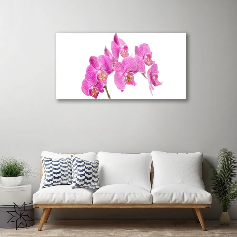 Obraz na skle Orchidej Květiny Příroda 140x70 cm