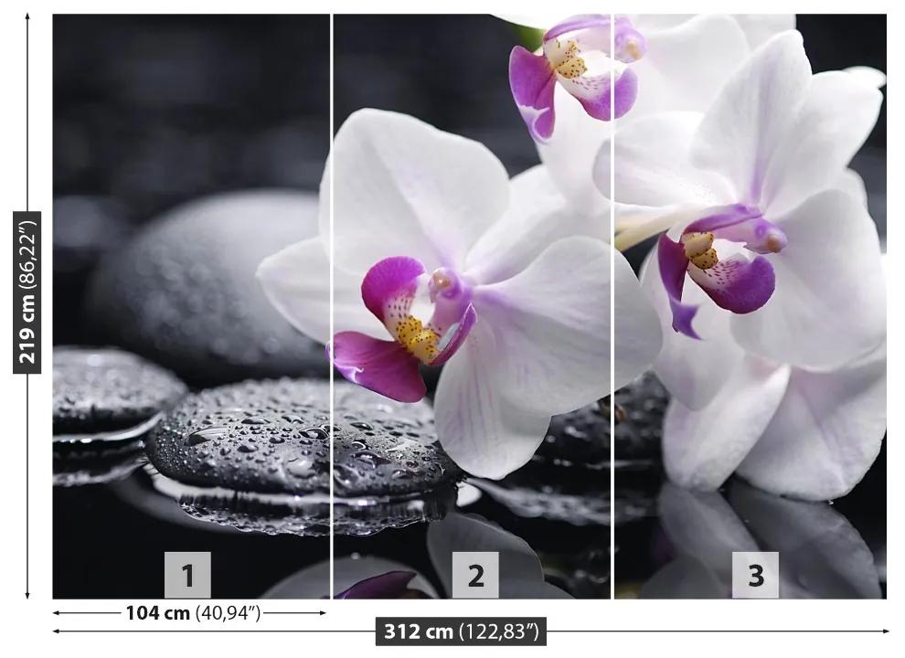 Fototapeta orchidej 104x70