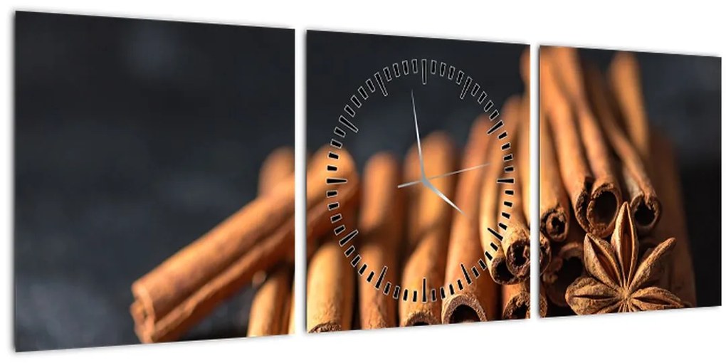 Obraz skořice (s hodinami) (90x30 cm)