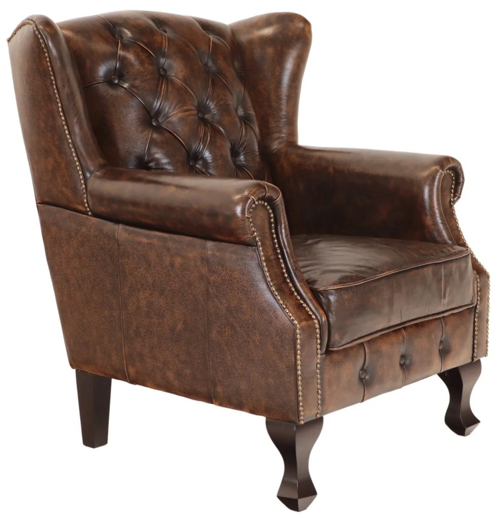furniture-nabytek.cz - Křeslo Aberdeen z  hovězí kůže