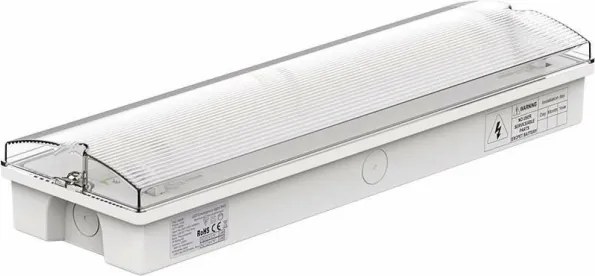 LED Nouzové svítidlo EMERGENCY EXIT LED/3W/230V 6400K IP65