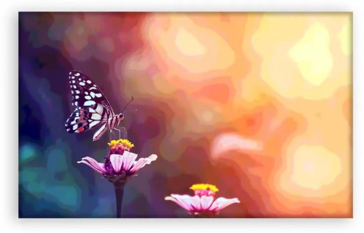 Obraz na plátně motýl Velikost (šířka x výška): 100x60 cm