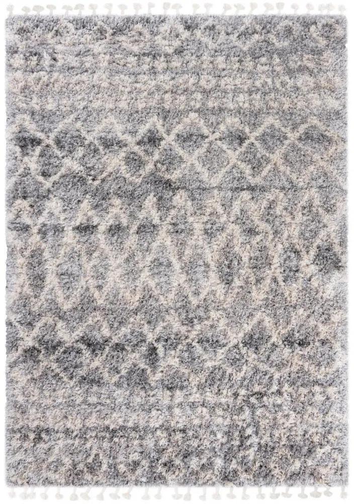 Kusový koberec shaggy Apache světle šedý 200x300cm