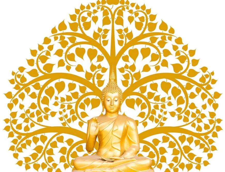 Obraz Budha se stromem života Varianta: 60x40
