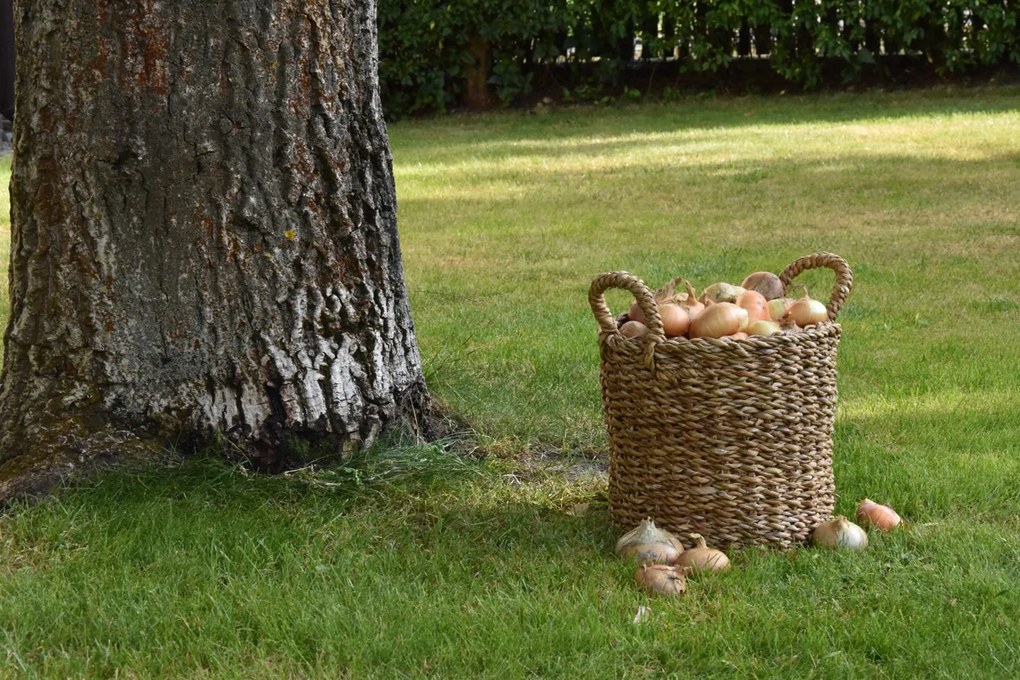 Vingo Úložný box z mořské trávy, kulatý Rozměry (cm): průměr 40, v. 33