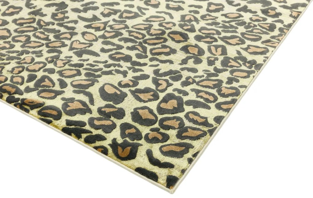 Barevný koberec Ston Leopard Rozměry: 80x150 cm