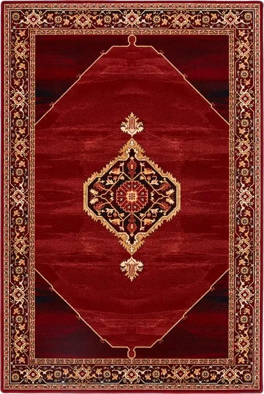 Kusový koberec Uriasz rubin 240 x 340 cm