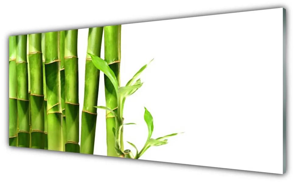 akrylový obraz Bambus Rostlina 125x50 cm