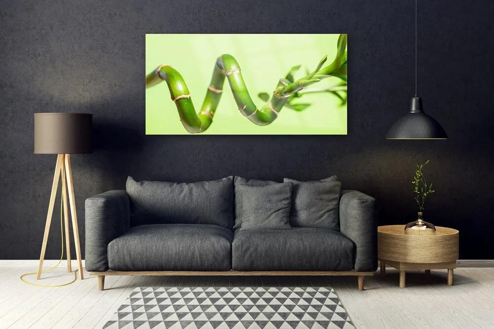 akrylový obraz Bambus Rostlina Příroda 120x60 cm