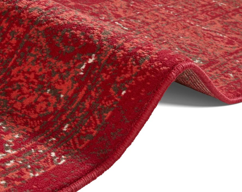 Hanse Home, Kusový koberec Celebration 103467 Plume Red, 200x290, červená, chodba / předsíň