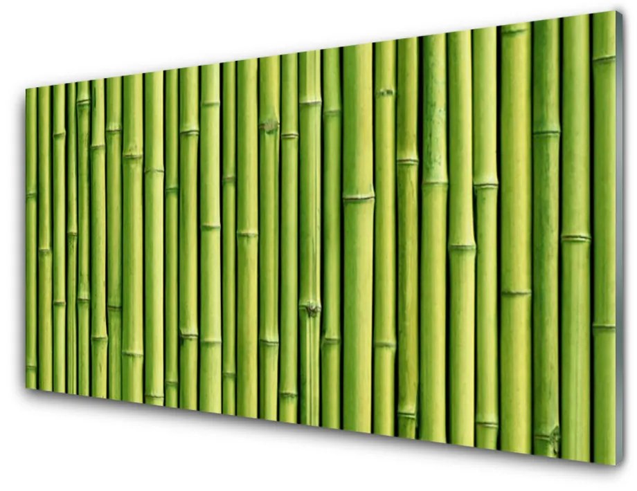 akrylový obraz Bambus Rostlina Příroda 140x70 cm