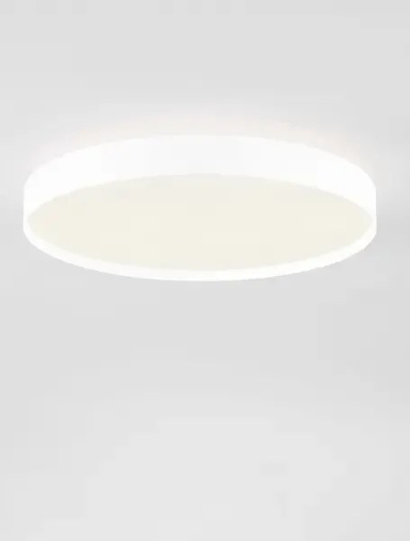 LED stmívatelné bílé moderní stropní svítidlo Roi 2