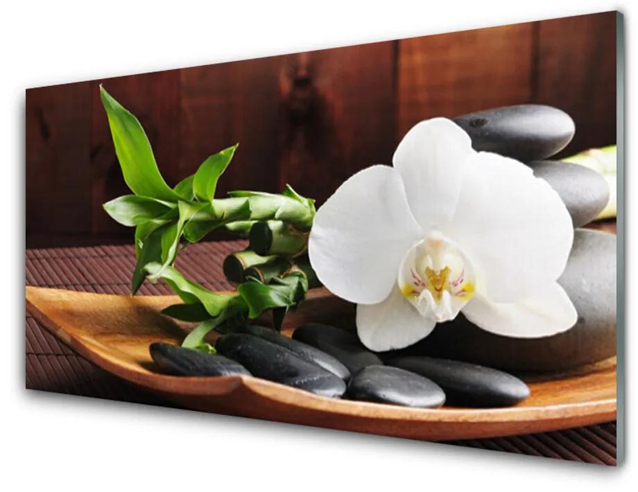 Plexisklo-obraz Kameny Zen Bílá Orchidej 120x60 cm