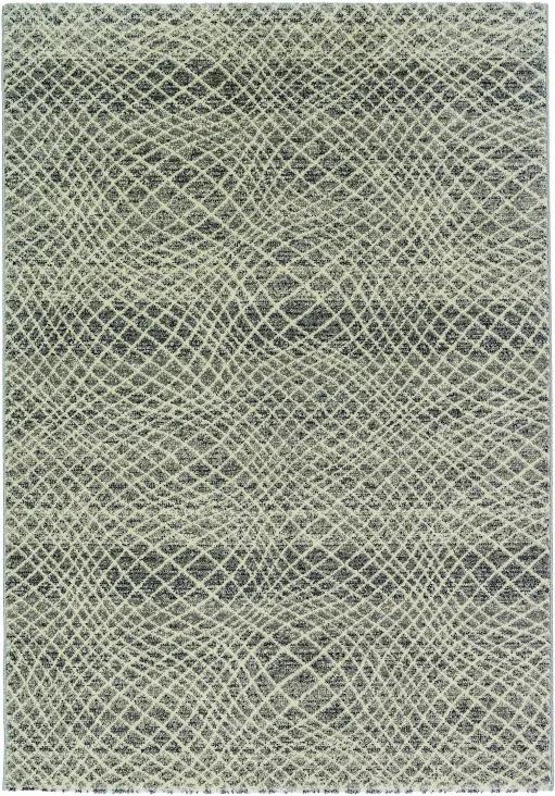 Moderní Kusový koberec Carpi 151004 Pruh Šedý Typ: 60x110 cm