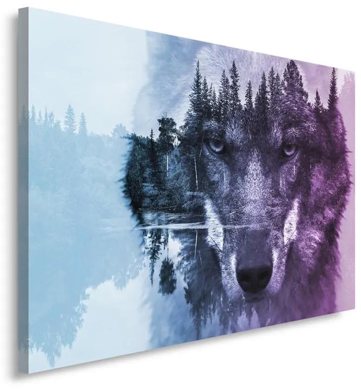 CARO Obraz na plátně - Wolf On The Background Of The Forest - Purple 40x30 cm