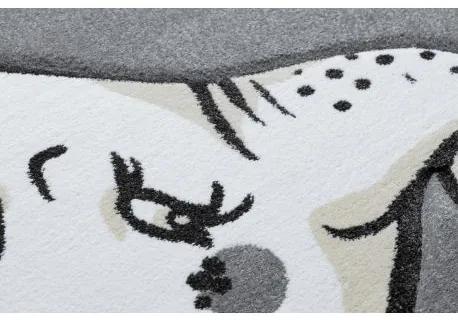 koberec PETIT ELEPHANT SLONÍK, HVĚZDY, šedý velikost 180x270 cm | krásné koberce cz