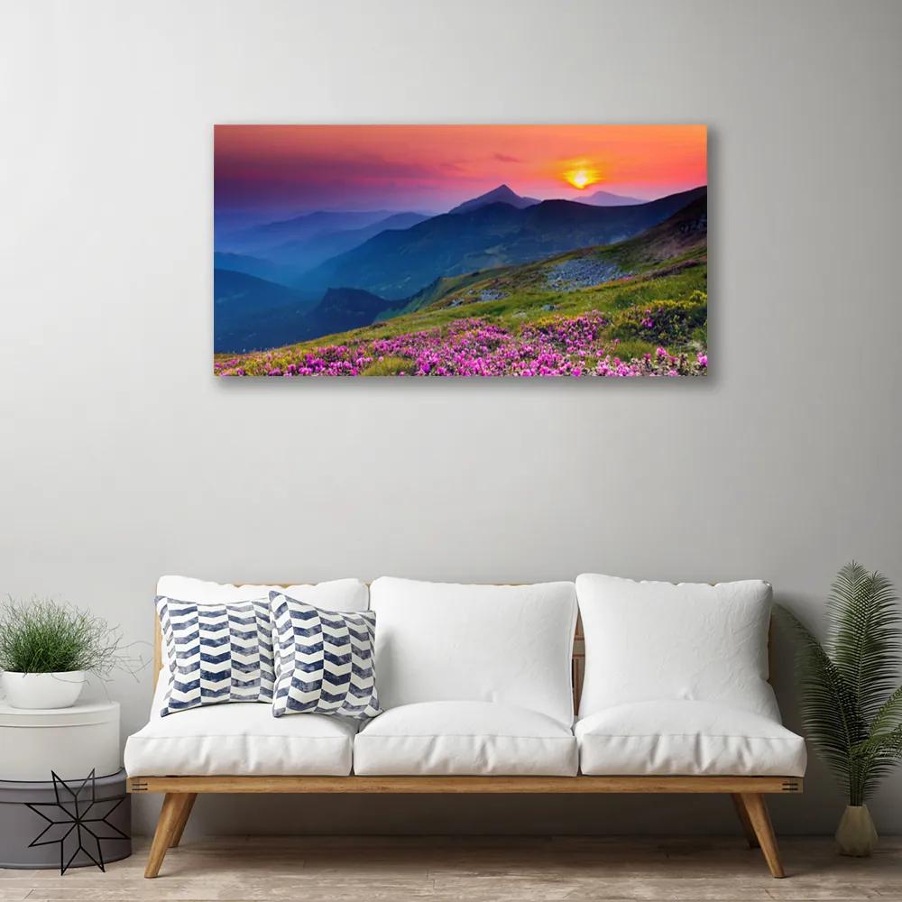 Obraz na plátně Hory Louka Květiny Krajina 120x60 cm