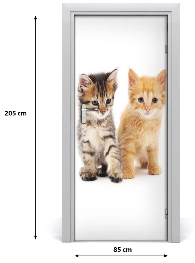 Samolepící fototapeta na dveře Šedá a rudá kočka 85x205 cm