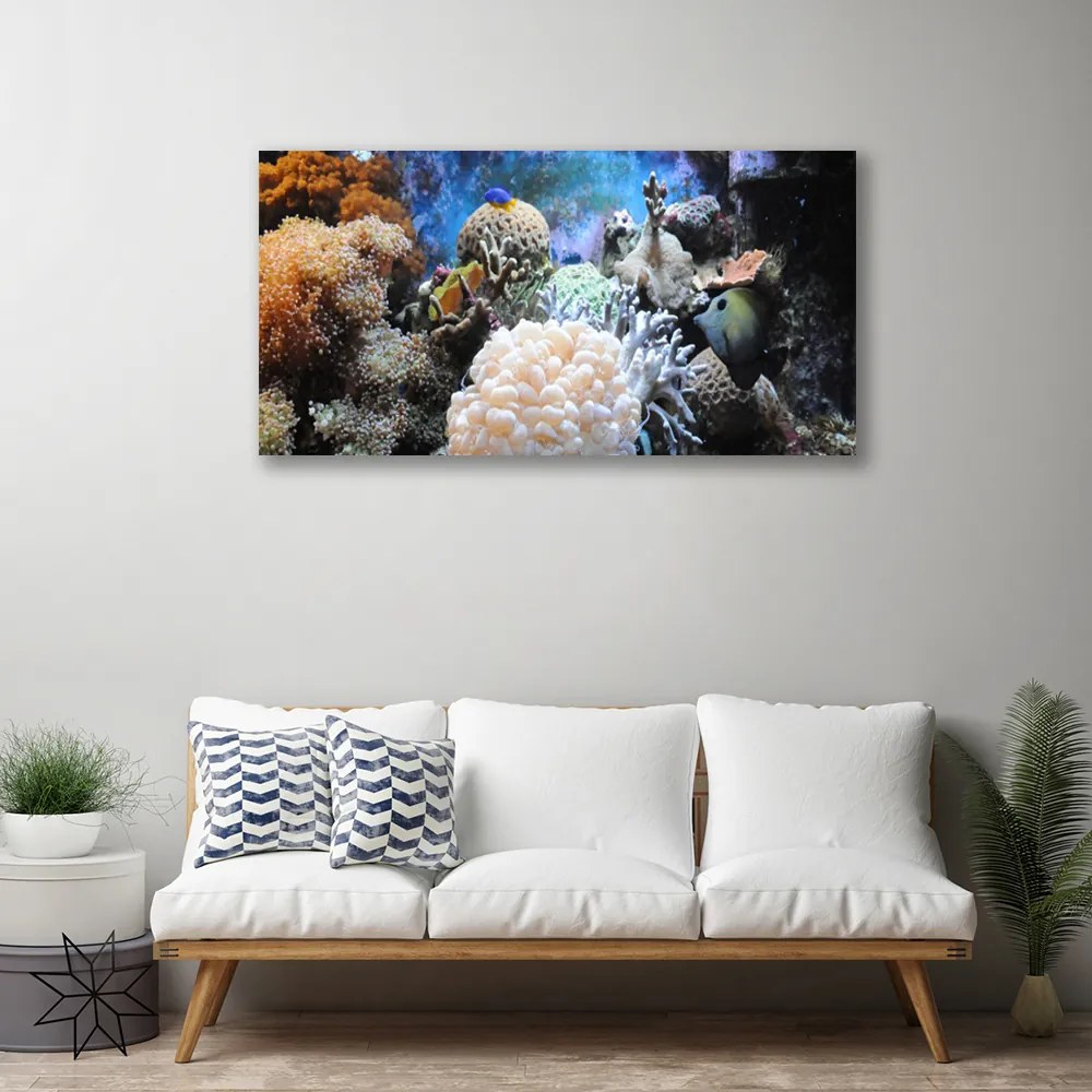 Obraz na plátně Korálový Útes Příroda 125x50 cm