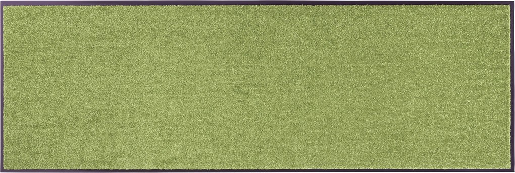 Hanse Home, Rohožka Wash & Clean 101470 Green, 60x180, zelená, chodba / předsíň