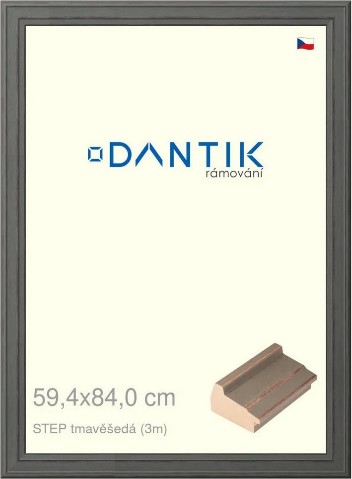 DANTIK rámeček 59,4x84 | STEP tmavěšedá (Plexi Čiré)