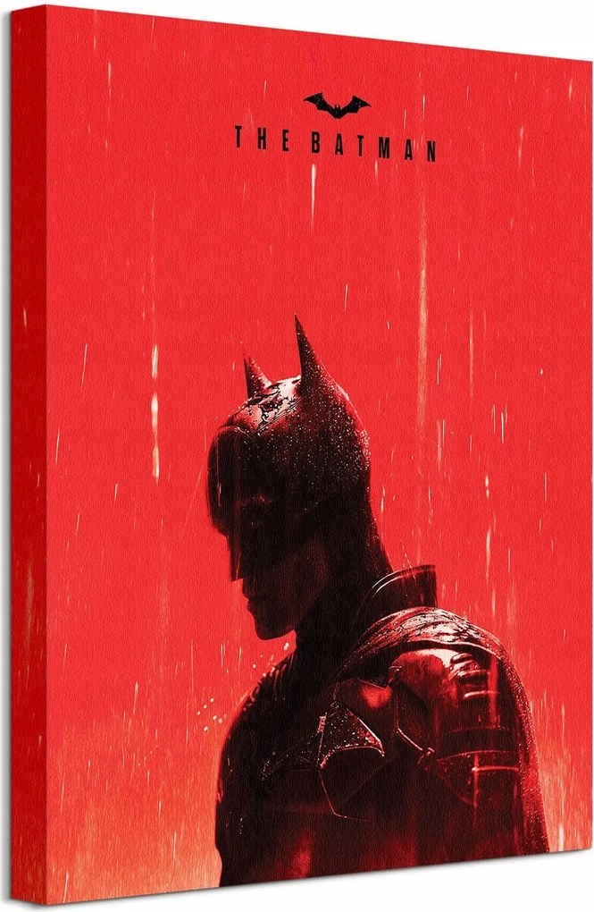The Batman Rain Logo obraz na plátně 40x50 cm