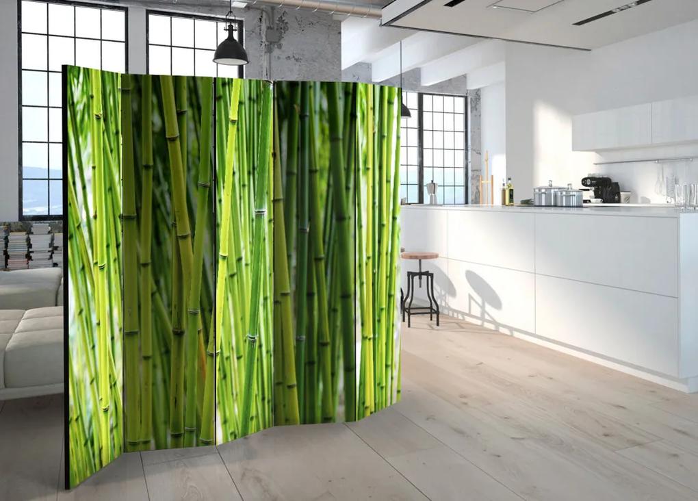 Pokojová zástěna Bambusový les II - zelené bambusové stromy v orientálním motivu