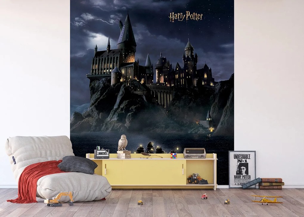 Dětská vliesová fototapeta na zed' Harry Potter | 225 x 270 cm | DFTD3P5175