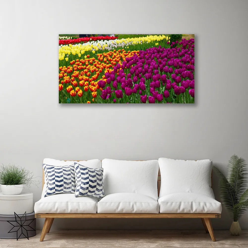 Obraz na plátně Tulipány Květiny 120x60 cm