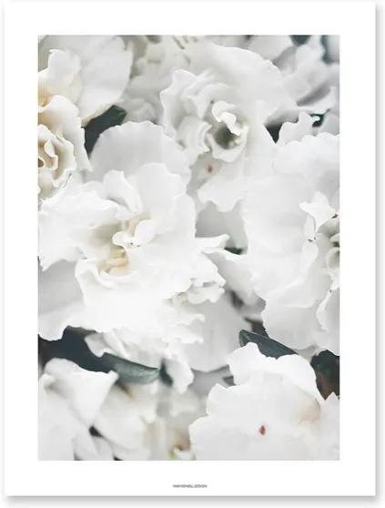 Fashionell Plakát White Flowers 40x50cm