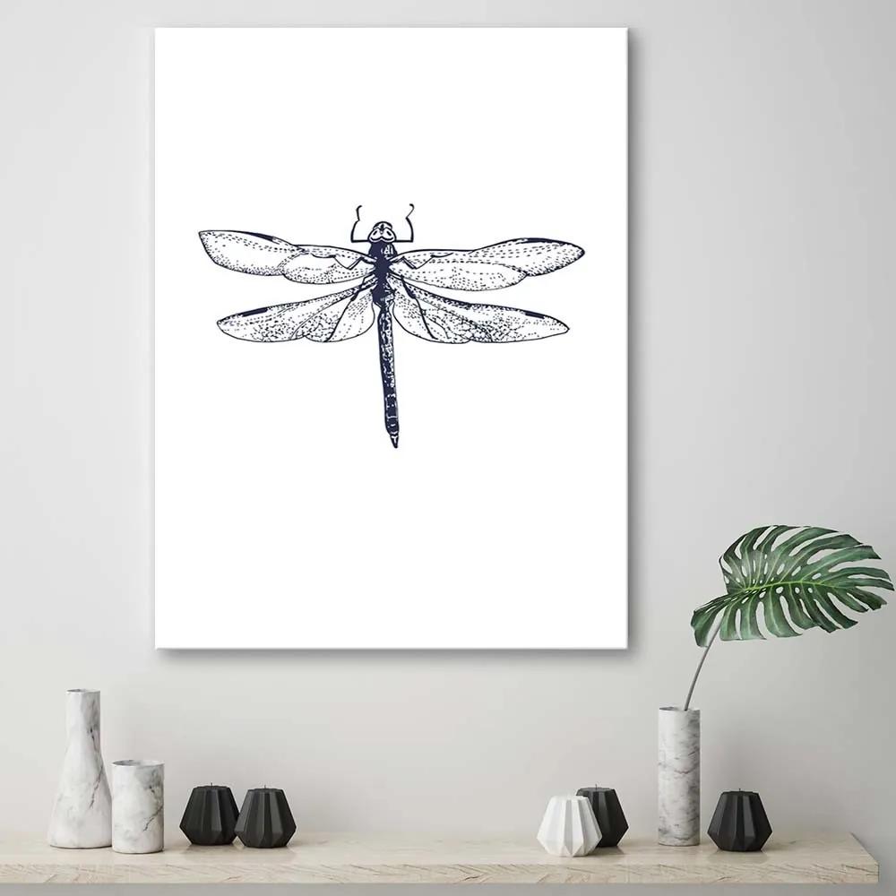 Obraz na plátně Vážka Hmyz Příroda - 40x60 cm