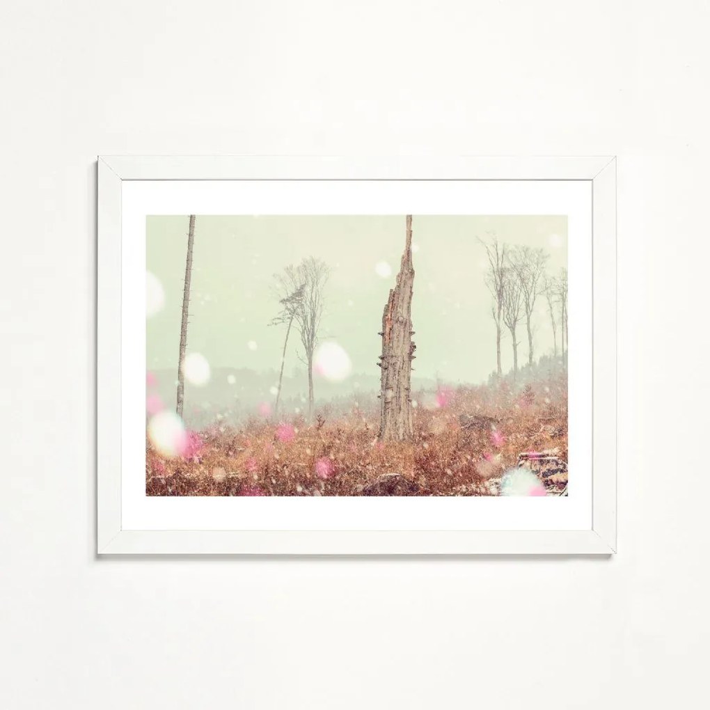Eva Bystrianská | Jarní sníh Rám: Bílý, Velikost: 20 x 30 cm