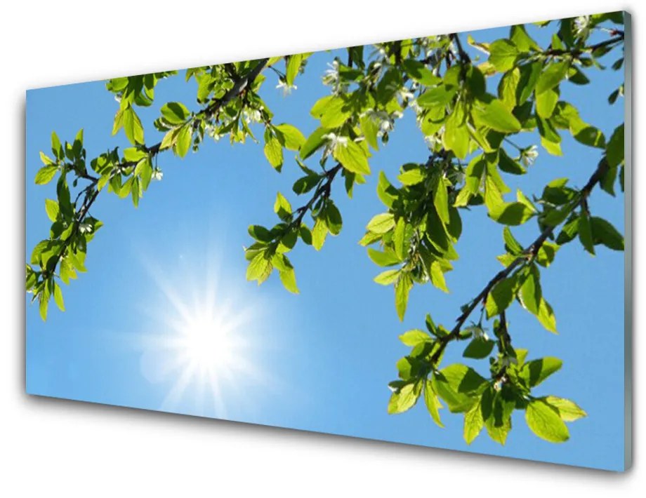 Obraz na skle Slunce Příroda 120x60 cm