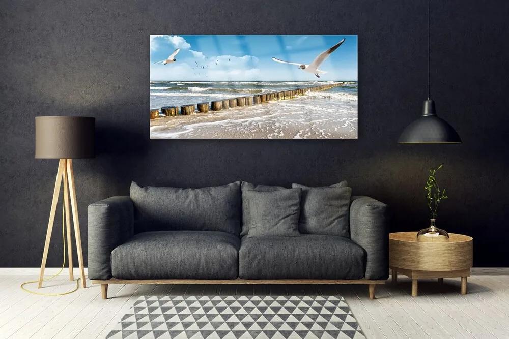 akrylový obraz Racci Moře Krajina 120x60 cm