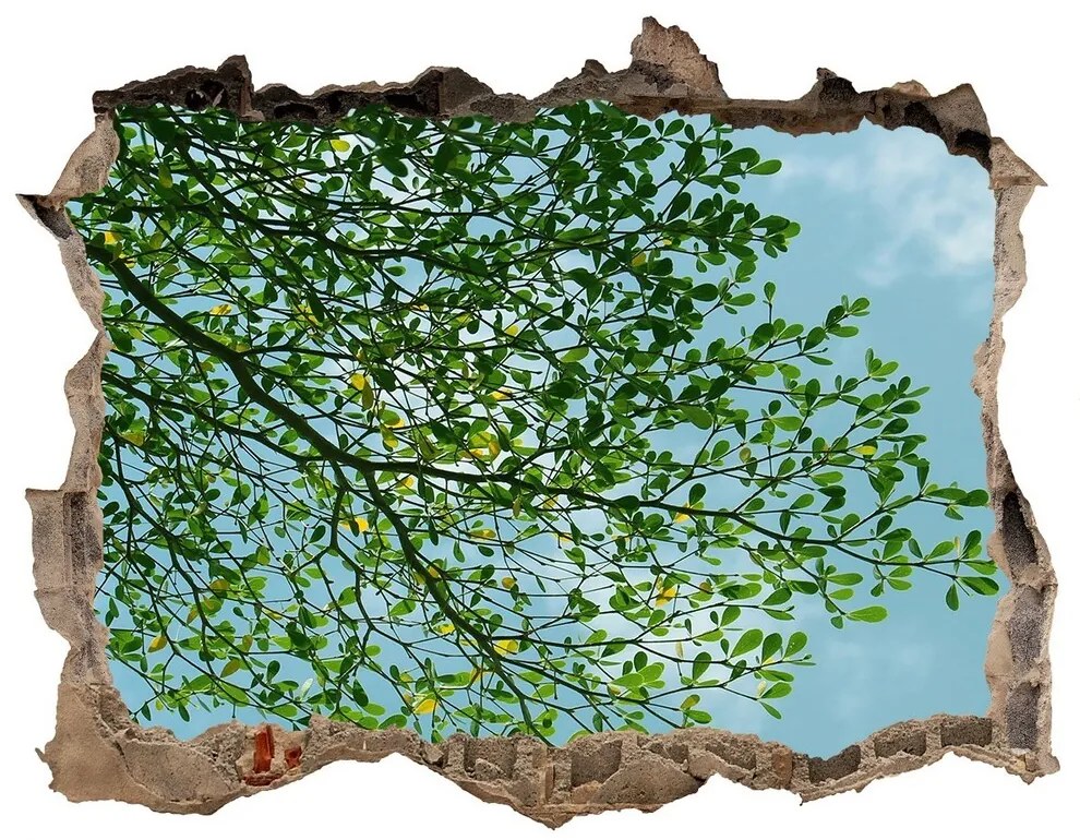 Wallmuralia Díra 3D ve zdi nálepka Listí na nebi 95x64 cm