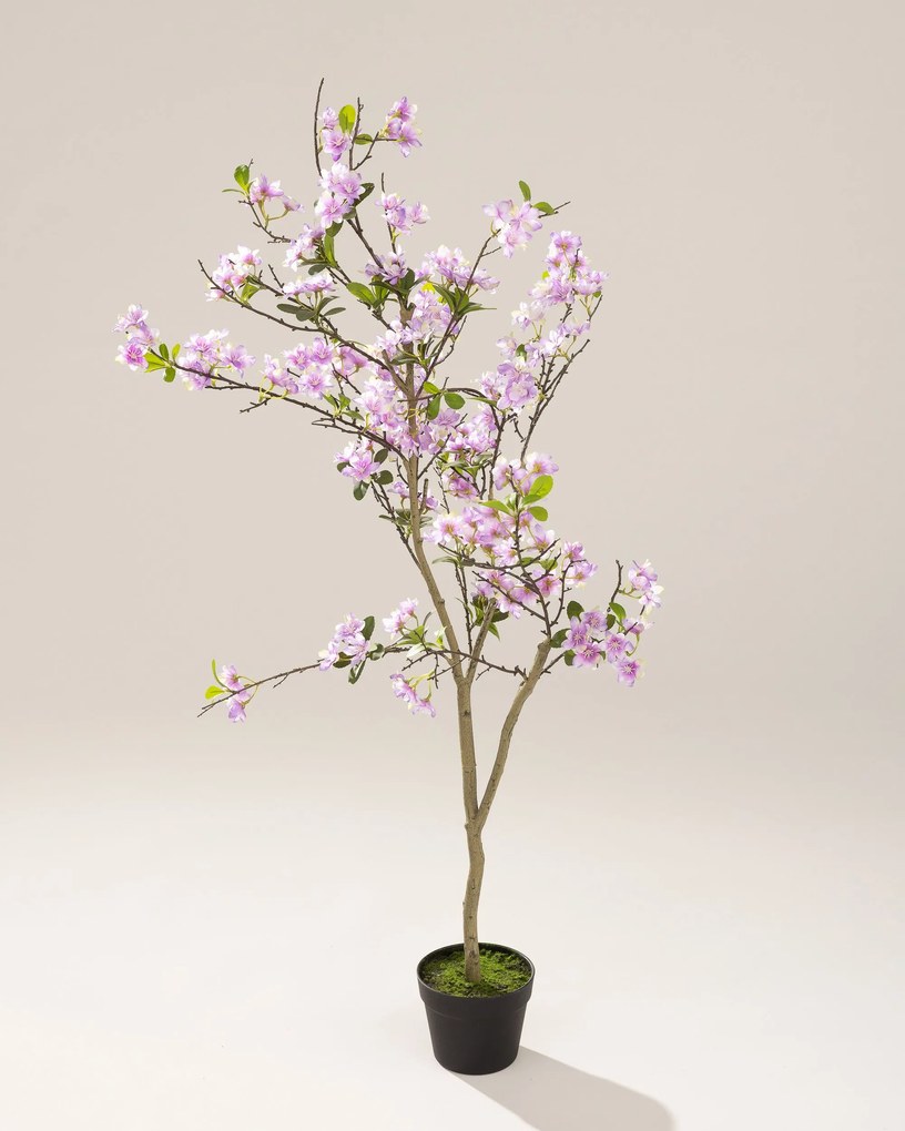 Sakura v květináči 130 cm
