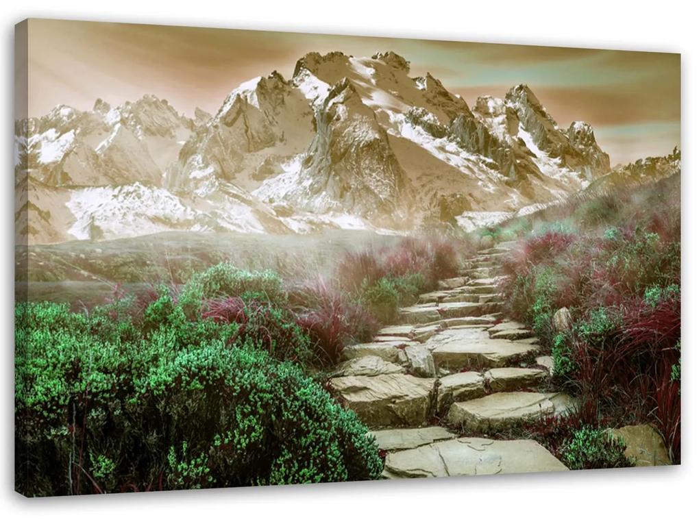 Gario Obraz na plátně Kamenná cesta na vrchol Rozměry: 60 x 40 cm